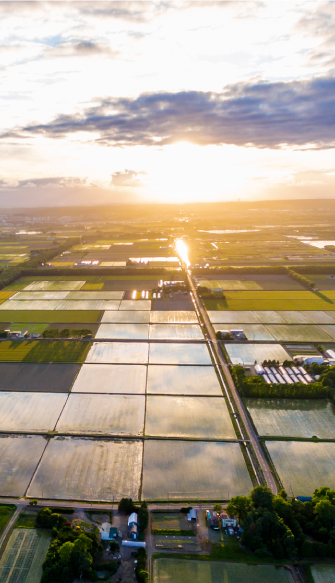 【公式】HESTA SMART CITY｜へスタ スマートシティ – 株式会社大倉の地域創生プロジェクト